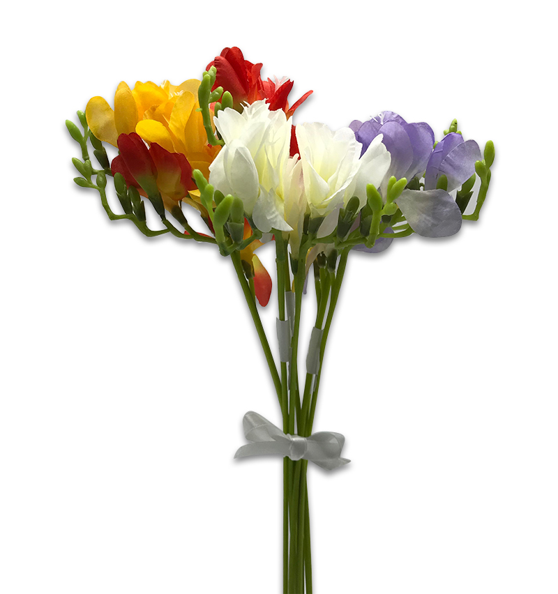 Handtied Posy Of Six Assorted Freesias – Wearenotashop