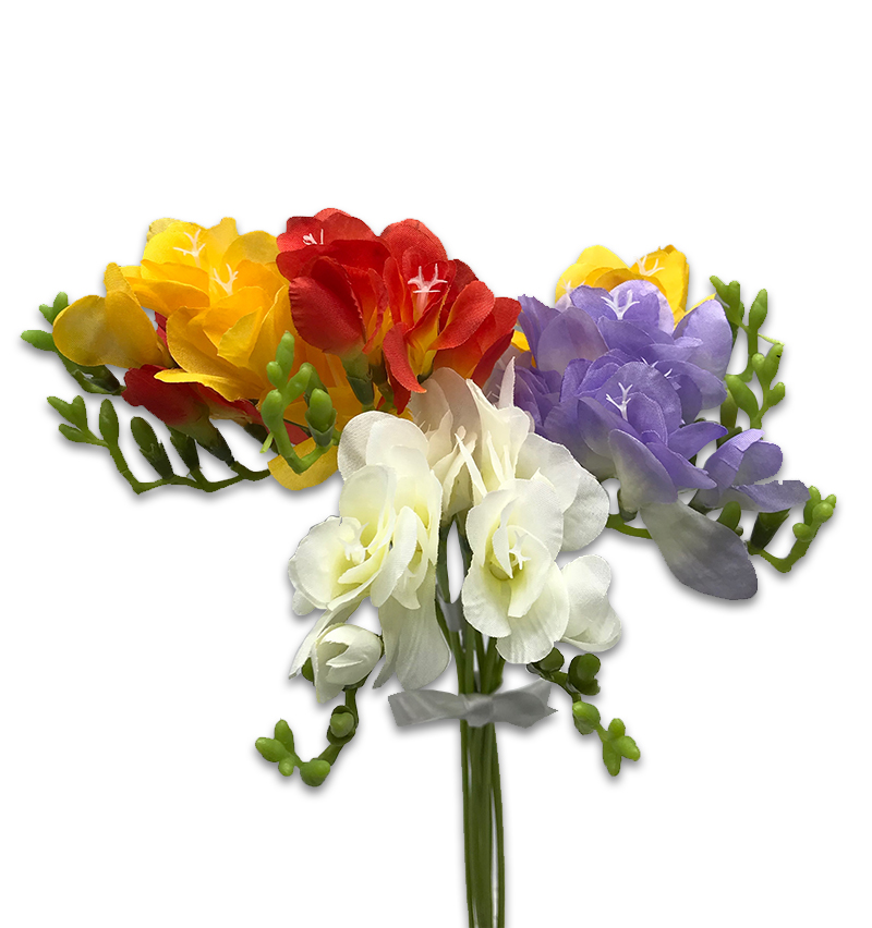 Handtied Posy Of Six Assorted Freesias – Wearenotashop