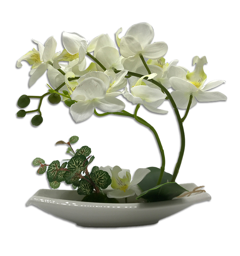 Japanese – Style White Orchid Display In White Porcelain Vase ...