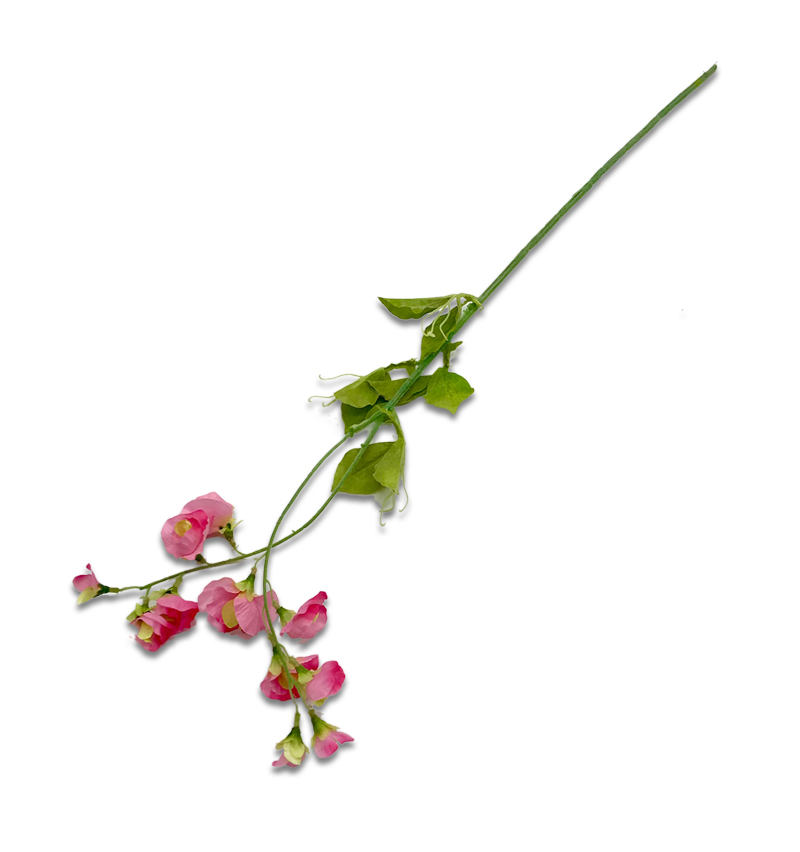 Long Stemmed Pink Sweet Pea – Wearenotashop