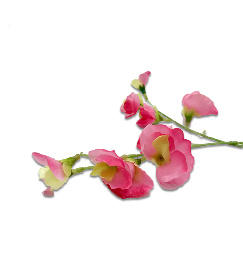 Long Stemmed Pink Sweet Pea – Wearenotashop