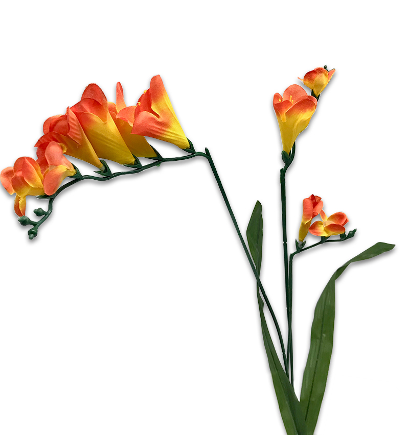 Orange Freesia Stem – Wearenotashop