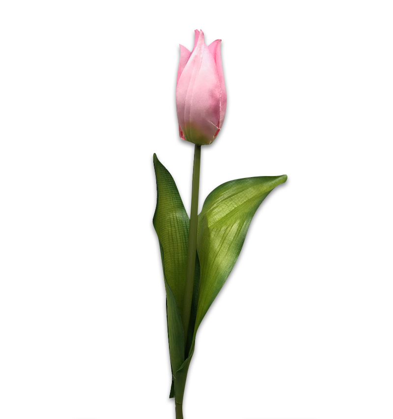 Baby Pink Tulip – Wearenotashop