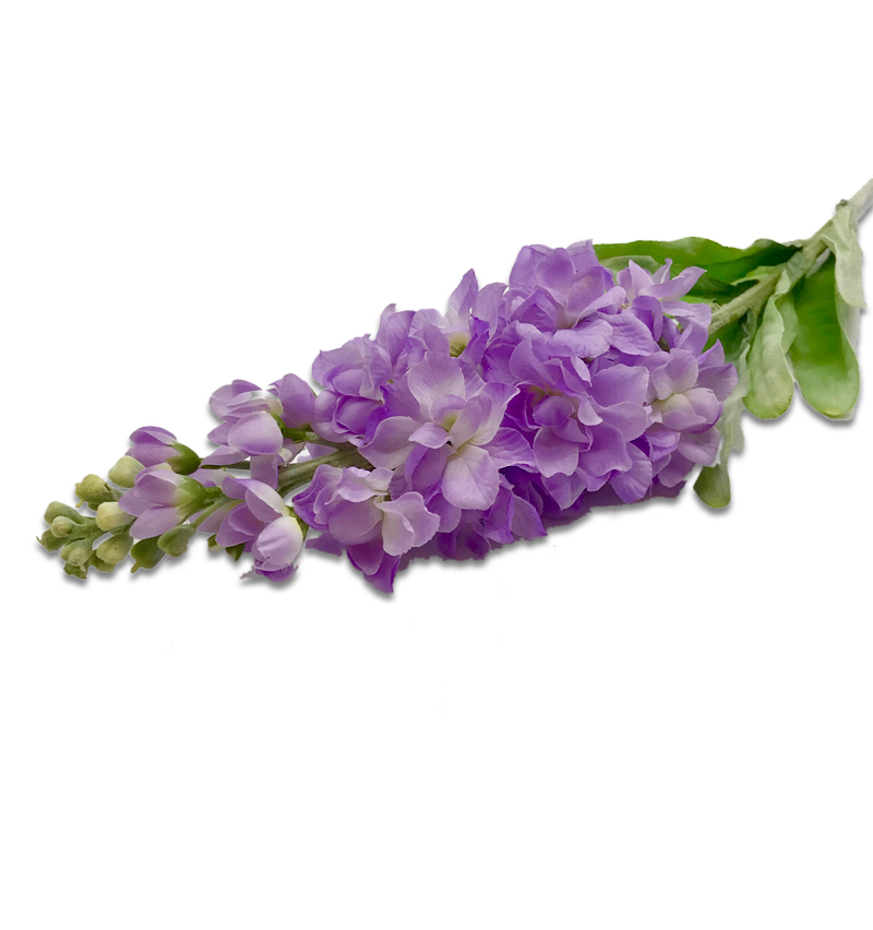 Lilac Delphinium – Wearenotashop