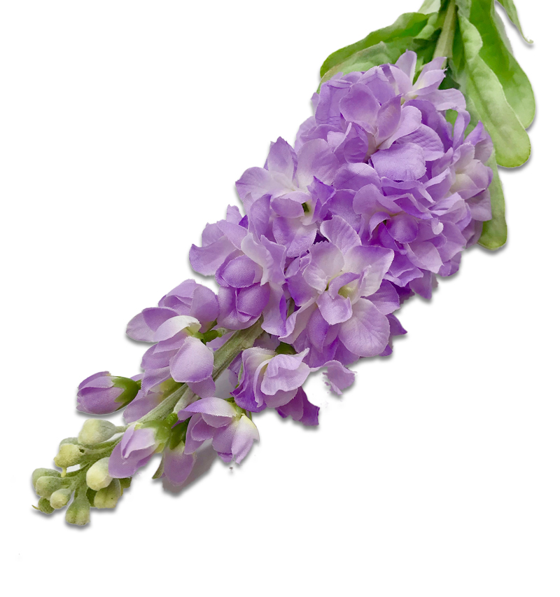Lilac Delphinium – Wearenotashop