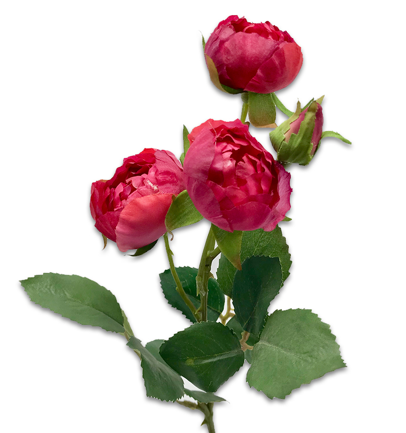 Red Rose Spray – Wearenotashop