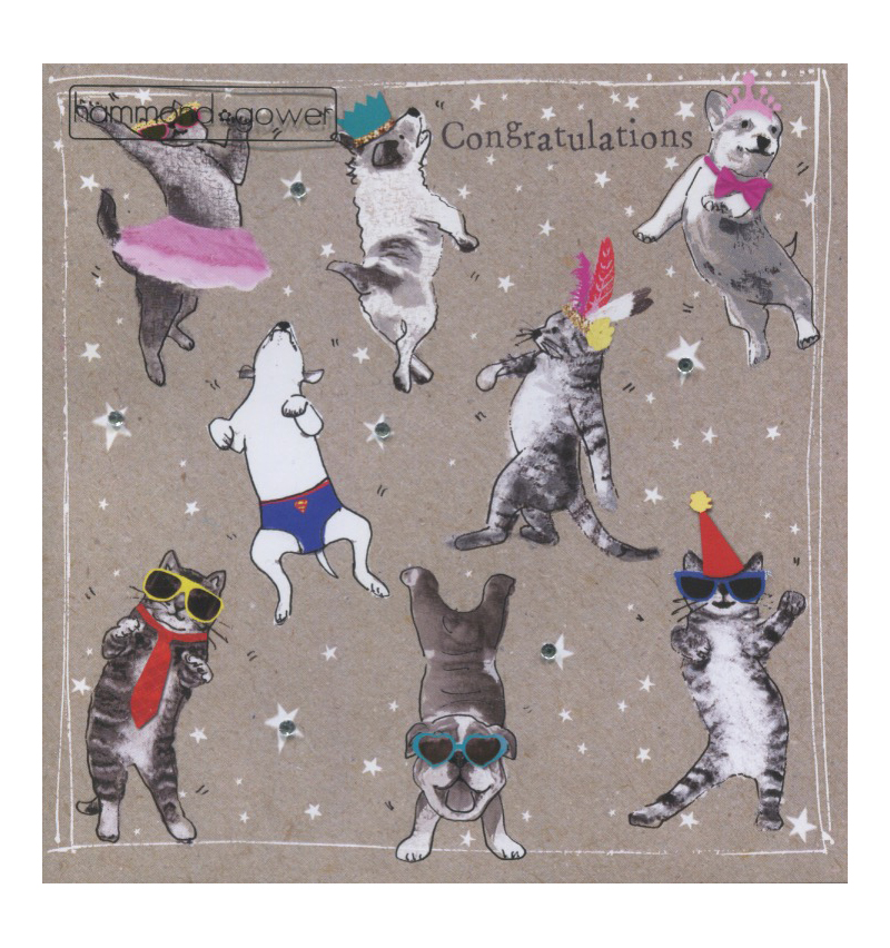 Congratulations – Cats And Dogs – Wearenotashop