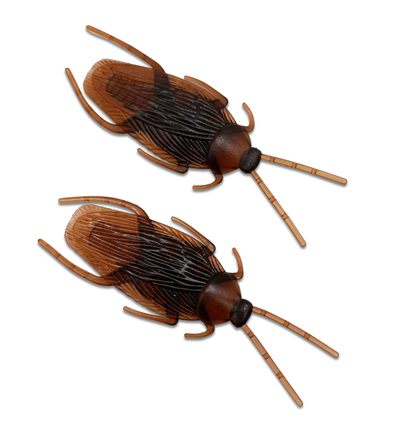 Packet Of Two Fun Fake Cockroaches – Wearenotashop