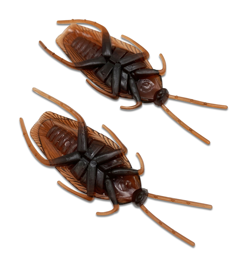 Packet Of Two Fun Fake Cockroaches – Wearenotashop