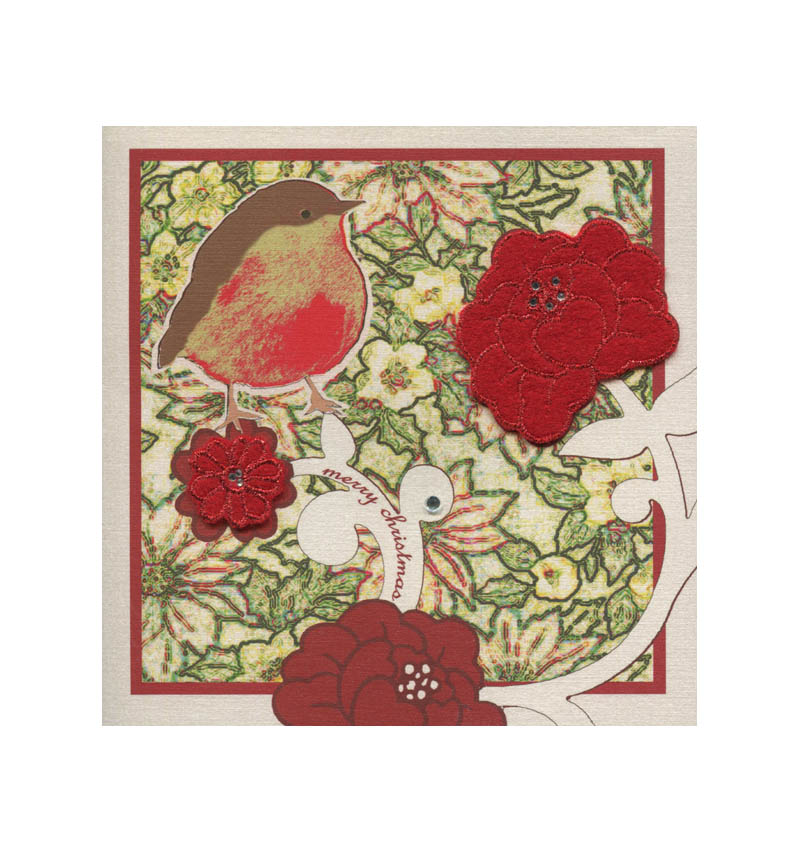 Robin – Handmade Card – Wearenotashop