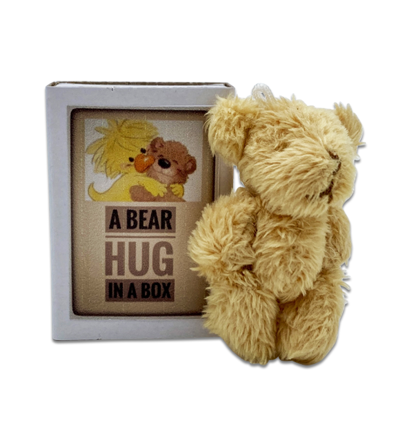 Mini Bear Hug In A Box – Wearenotashop