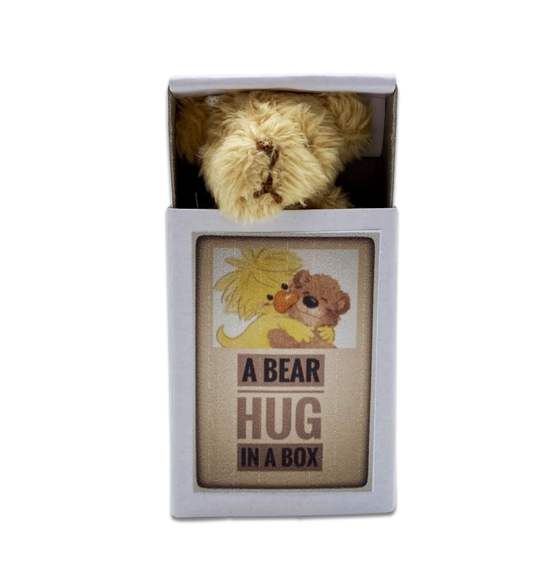 Mini Bear Hug In A Box – Wearenotashop