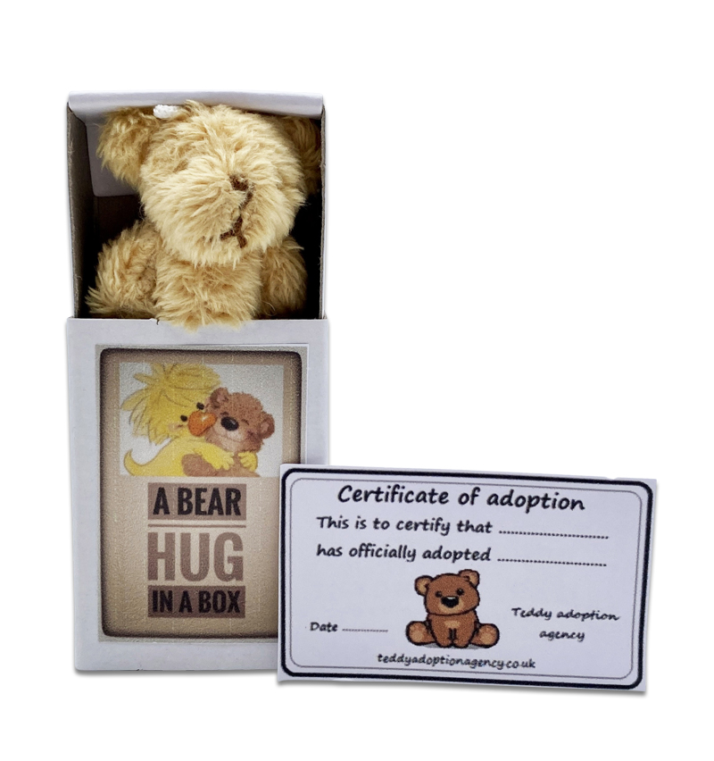 Mini Bear Hug In A Box – Wearenotashop