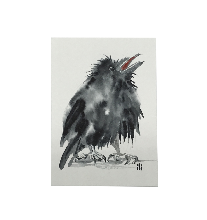 Signed Miniature Watercolour Pen And Ink – Hungry Raven Chick –By Ilona ...