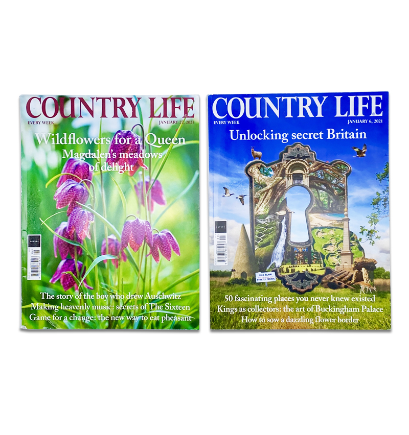 Four Country Life Magazines – January 2021 – Wearenotashop