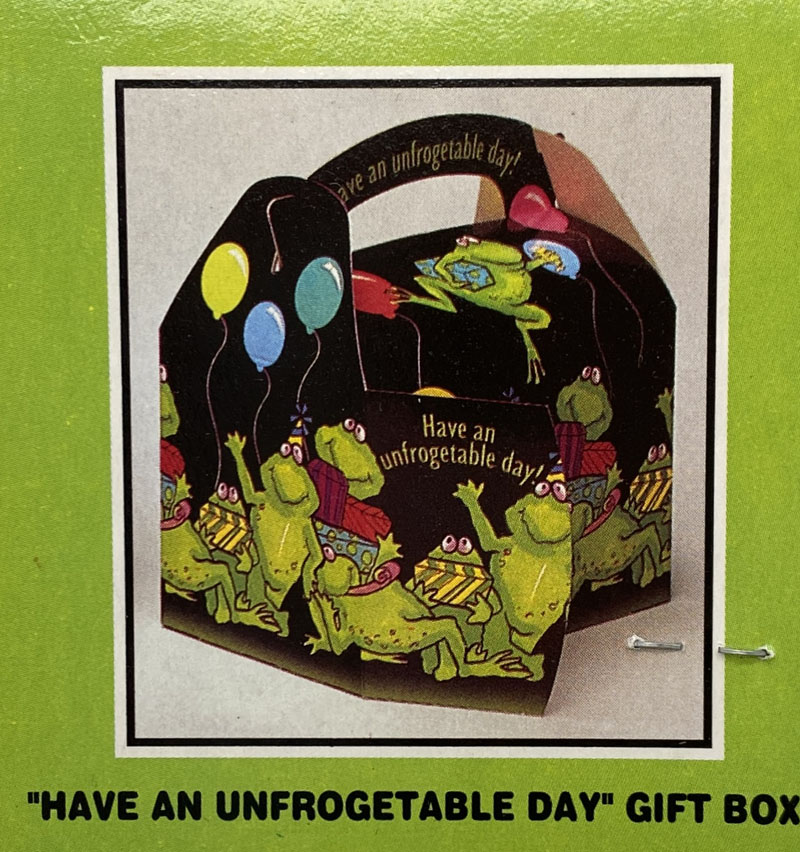 Frog Themed Gift Box – Wearenotashop