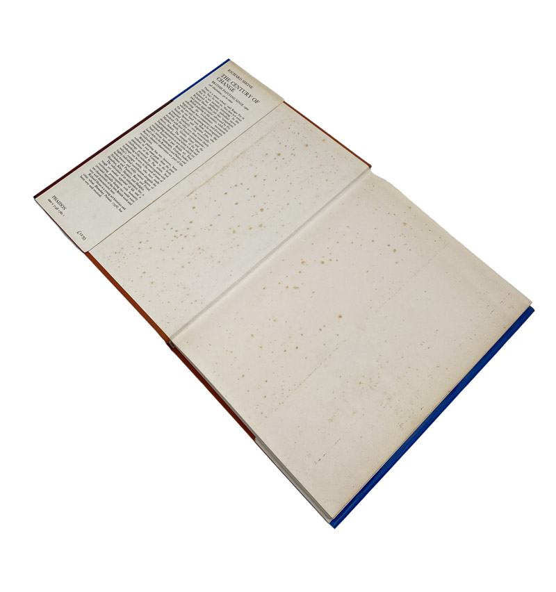 The Century Of Change: British Paintings Since 1900 By Richard Shone ...